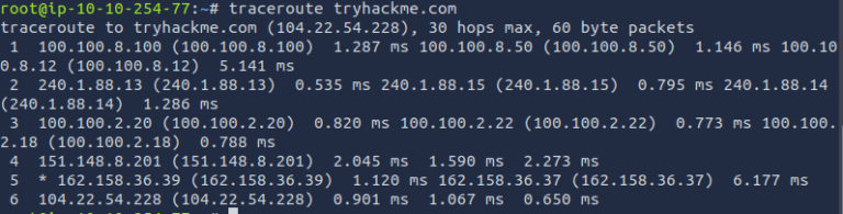 TryHackMe: Introductory Networking - Walkthrough