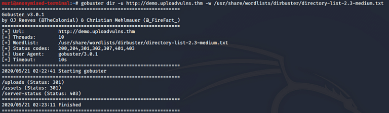 TryHackMe: Upload Vulnerabilities - Complete Walkthrough