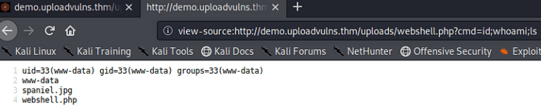 TryHackMe: Upload Vulnerabilities - Complete Walkthrough