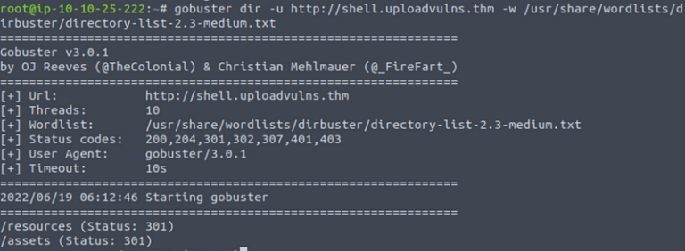 TryHackMe: Upload Vulnerabilities - Complete Walkthrough
