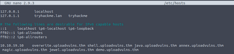 TryHackMe: Upload Vulnerabilities - Complete Walkthrough