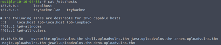 TryHackMe: Upload Vulnerabilities - Complete Walkthrough