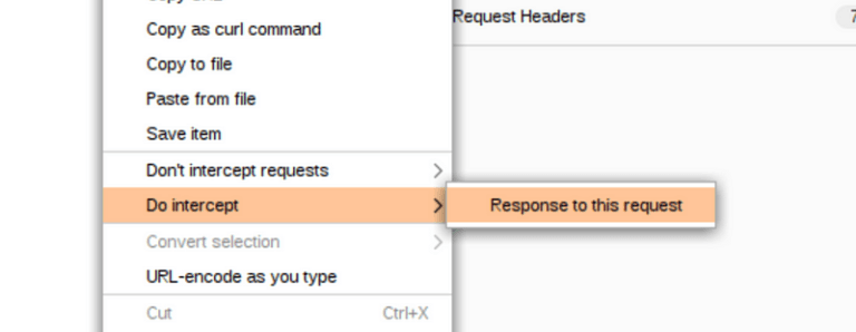 TryHackMe: Upload Vulnerabilities - Complete Walkthrough