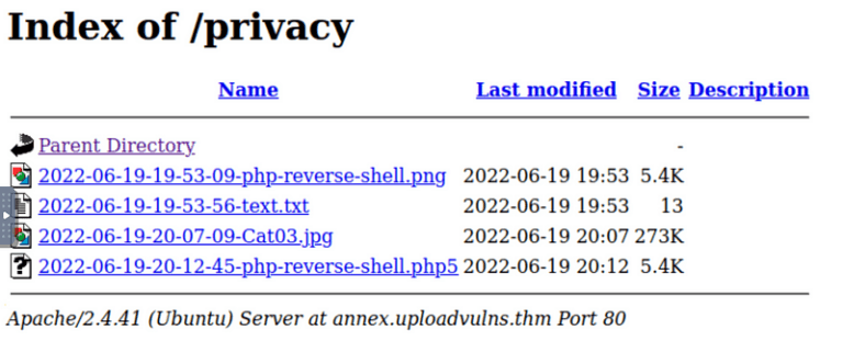 TryHackMe: Upload Vulnerabilities - Complete Walkthrough
