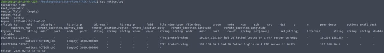 TryHackMe: Zeek Walkthrough (SOC Level 1)