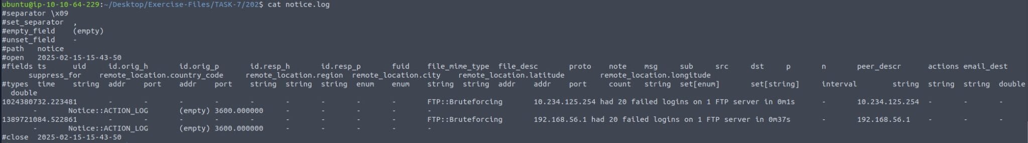 TryHackMe: Zeek Walkthrough (SOC Level 1)