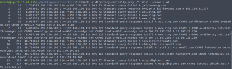 TryHackMe: TShark Challenge 2: Directory Walkthrough
