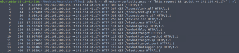 TryHackMe: TShark Challenge 2: Directory Walkthrough