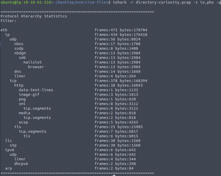 TryHackMe: TShark Challenge 2: Directory Walkthrough