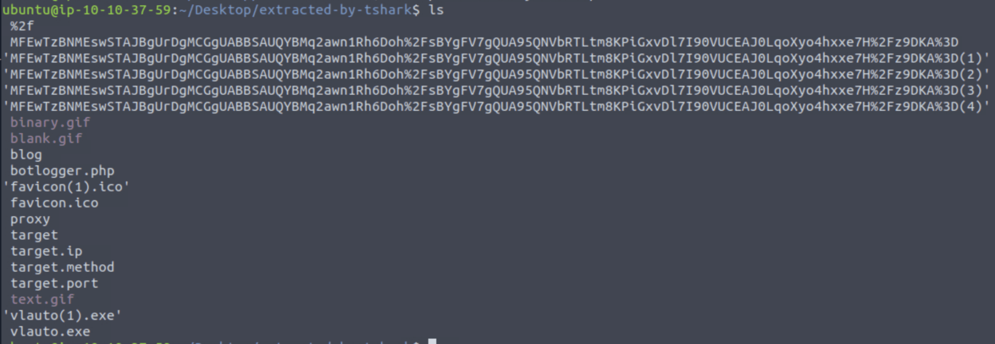 TryHackMe: TShark Challenge 2: Directory Walkthrough