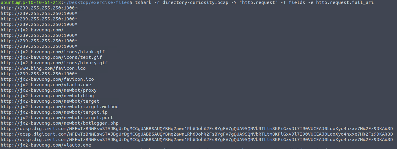 TryHackMe: TShark Challenge 2: Directory Walkthrough